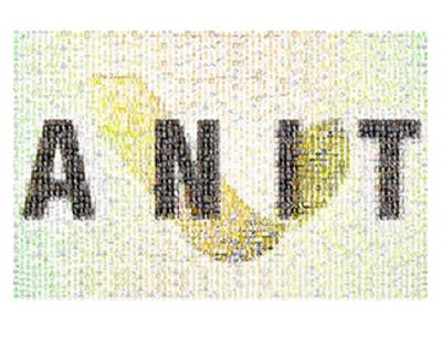 ANIT: acustica e isolamento in edilizia